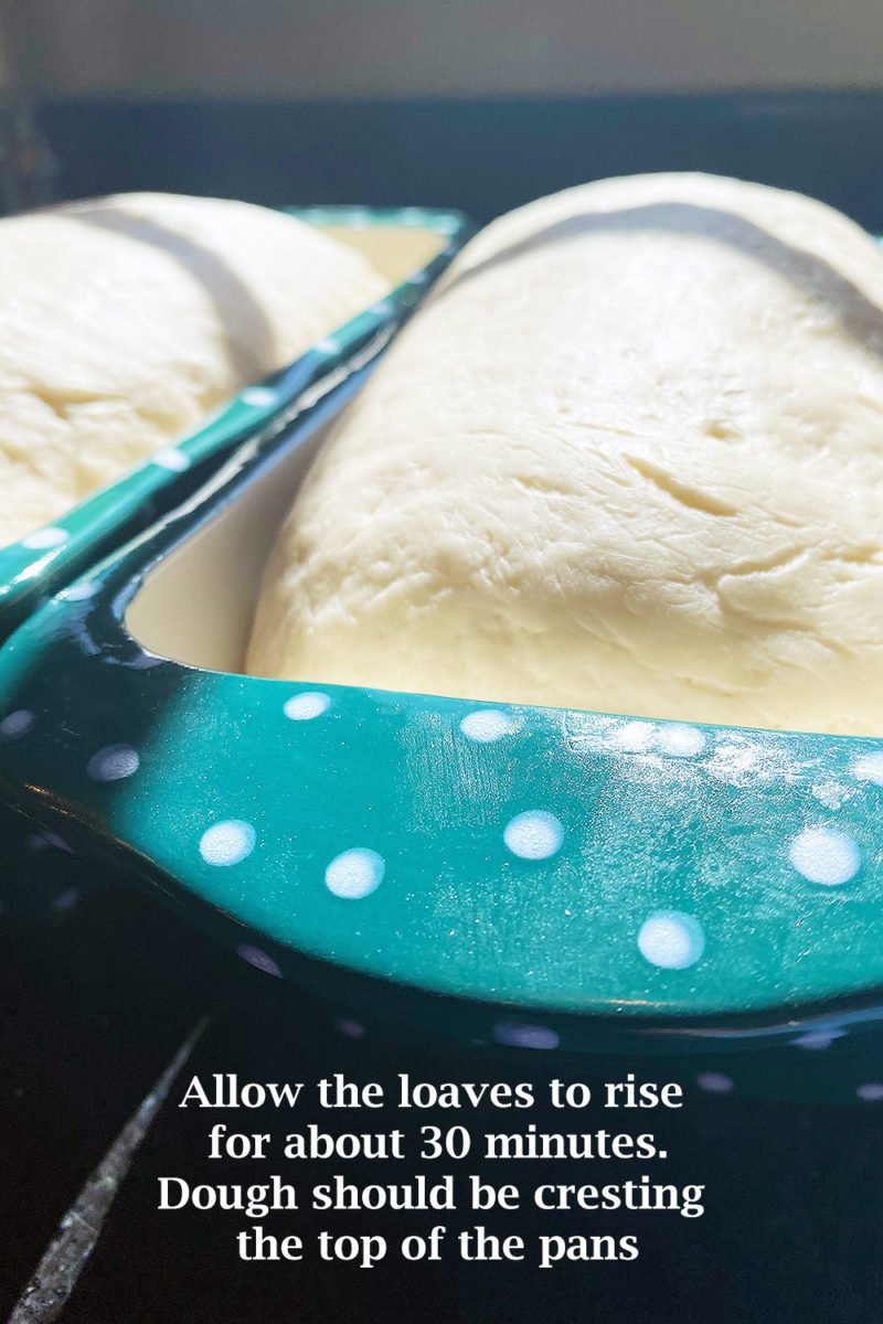 Best 1 Hour Bread Recipe - Baking Outside the Box